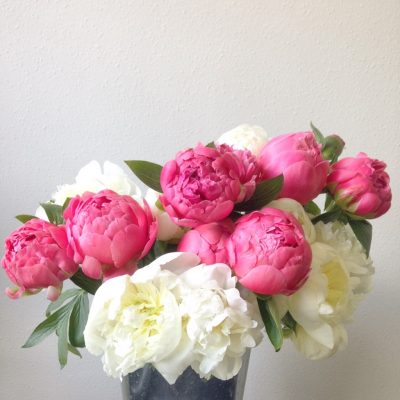 Summer Flower Guide