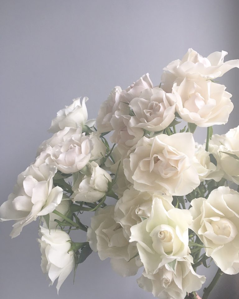 Garden rose cut flower guide showcasing some of the best garden roses