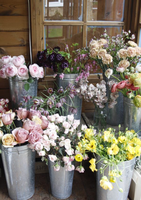 Joanne Truby Floral Design - Blog with flower inspiration, tips & advice